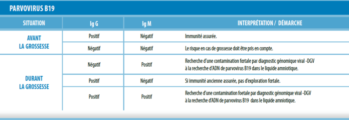 Parvovirus B19 - AntiBioEst : AntiBioEst