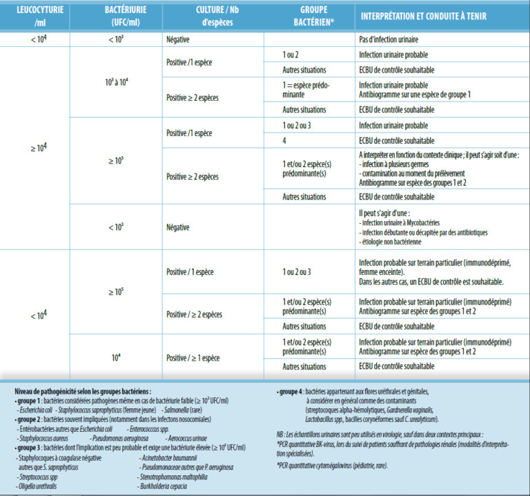 ECBU (patient adulte non sondé) - AntiBioEst : AntiBioEst